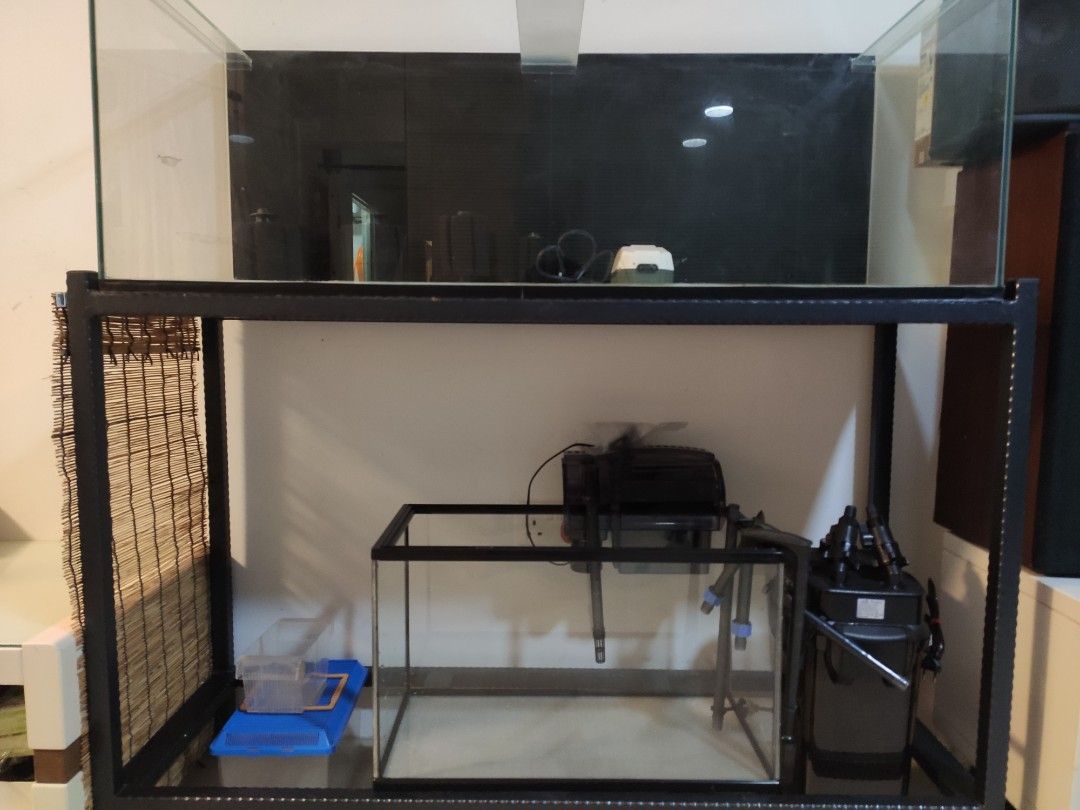 4ft fish tank and stand (w/ free addons), Pet Supplies, Homes & Other ...