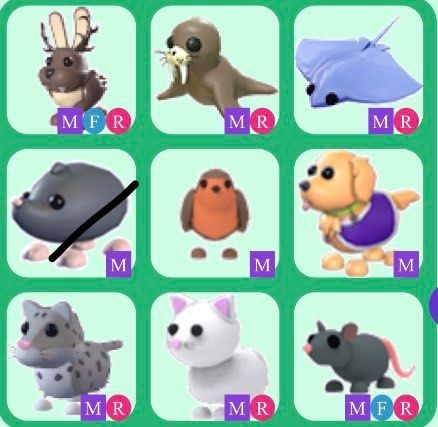 Adopt Me Mega Pets, Video Gaming, Gaming Accessories, In-Game Products ...