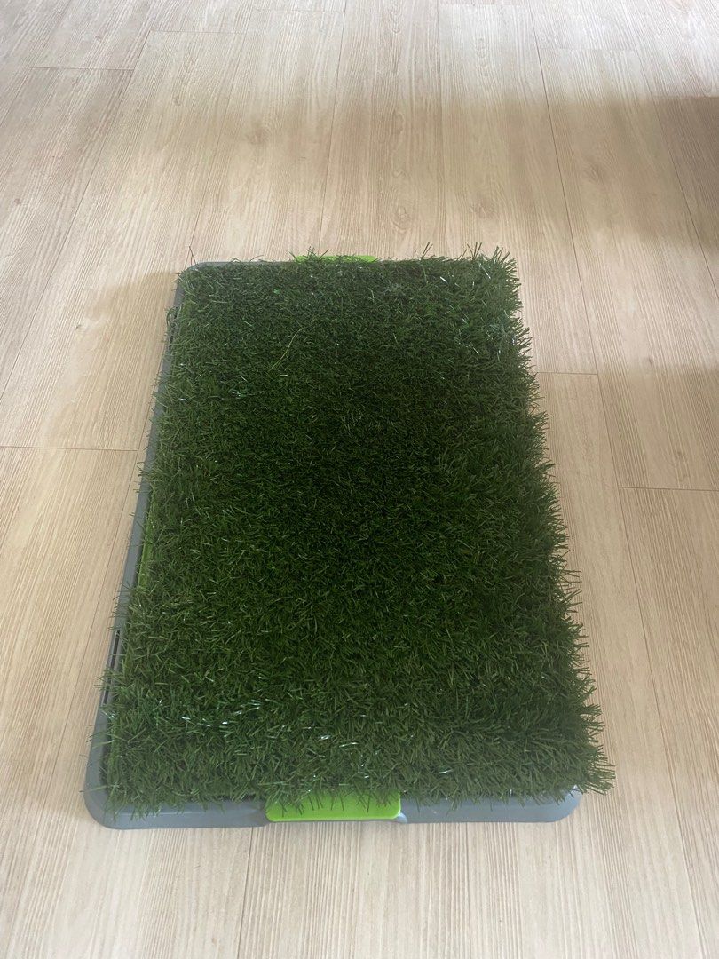 Anko Pet Potty Tray and mat, Pet Supplies, Homes & Other Pet ...