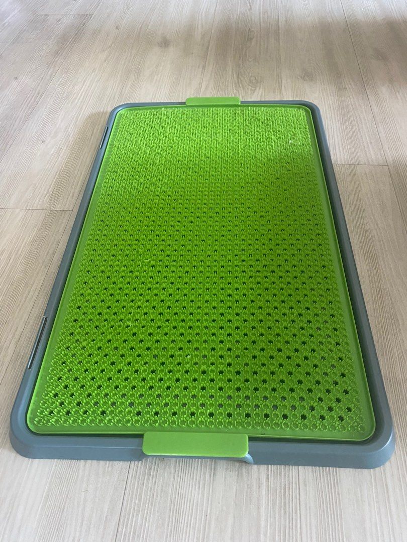 Anko Pet Potty Tray and mat, Pet Supplies, Homes & Other Pet ...