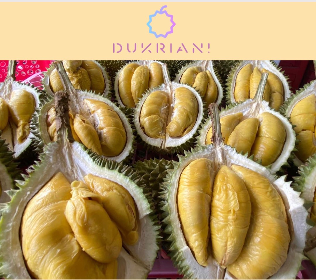 Dukrian! Durian & Fruits Party Event. Durian Wholesale Available, Food ...