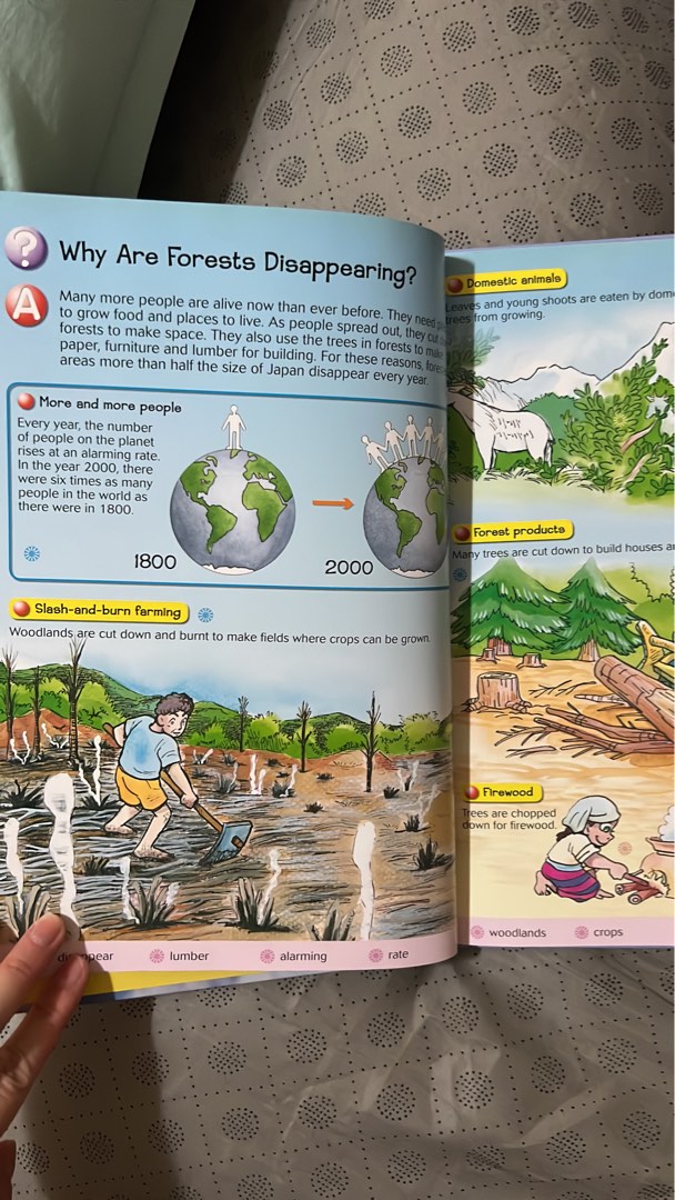 ETL encyclopedia books, Hobbies & Toys, Books & Magazines, Children's ...