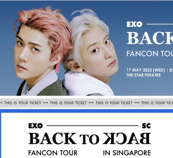 EXO-SC FANCON BACK TO BACK SG VIP TIX, Tickets & Vouchers, Event Tickets on Carousell