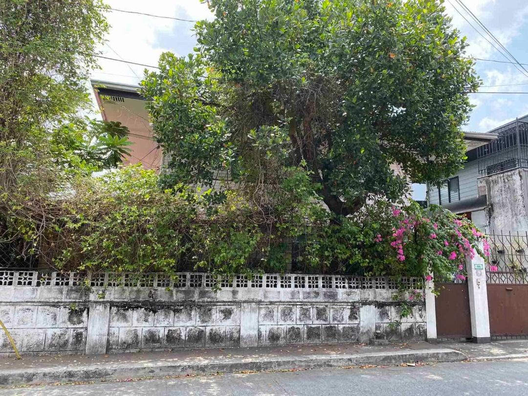HOUSE AND LOT FOR SALE IN BRGY. PALTOK SAN FRANCISCO DEL MONTE QUEZON ...