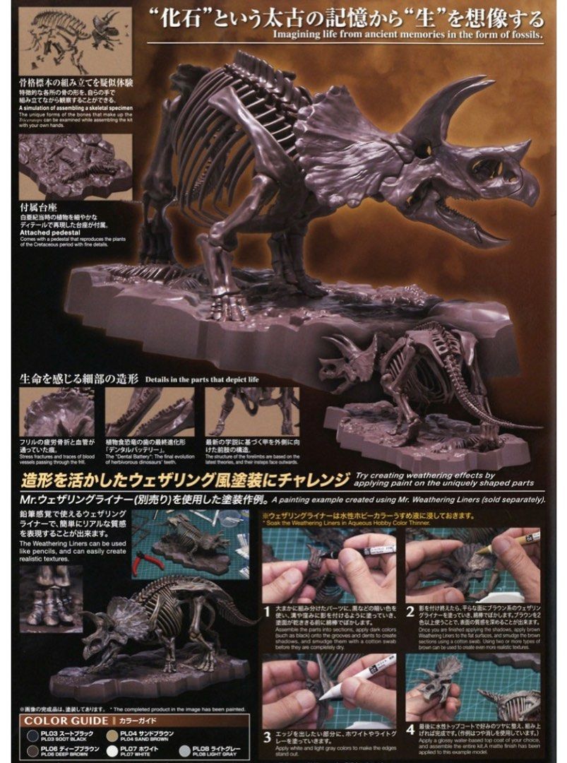 Imaginary Skeleton Triceratops 1/32 Bandai Model Kit, Hobbies & Toys ...