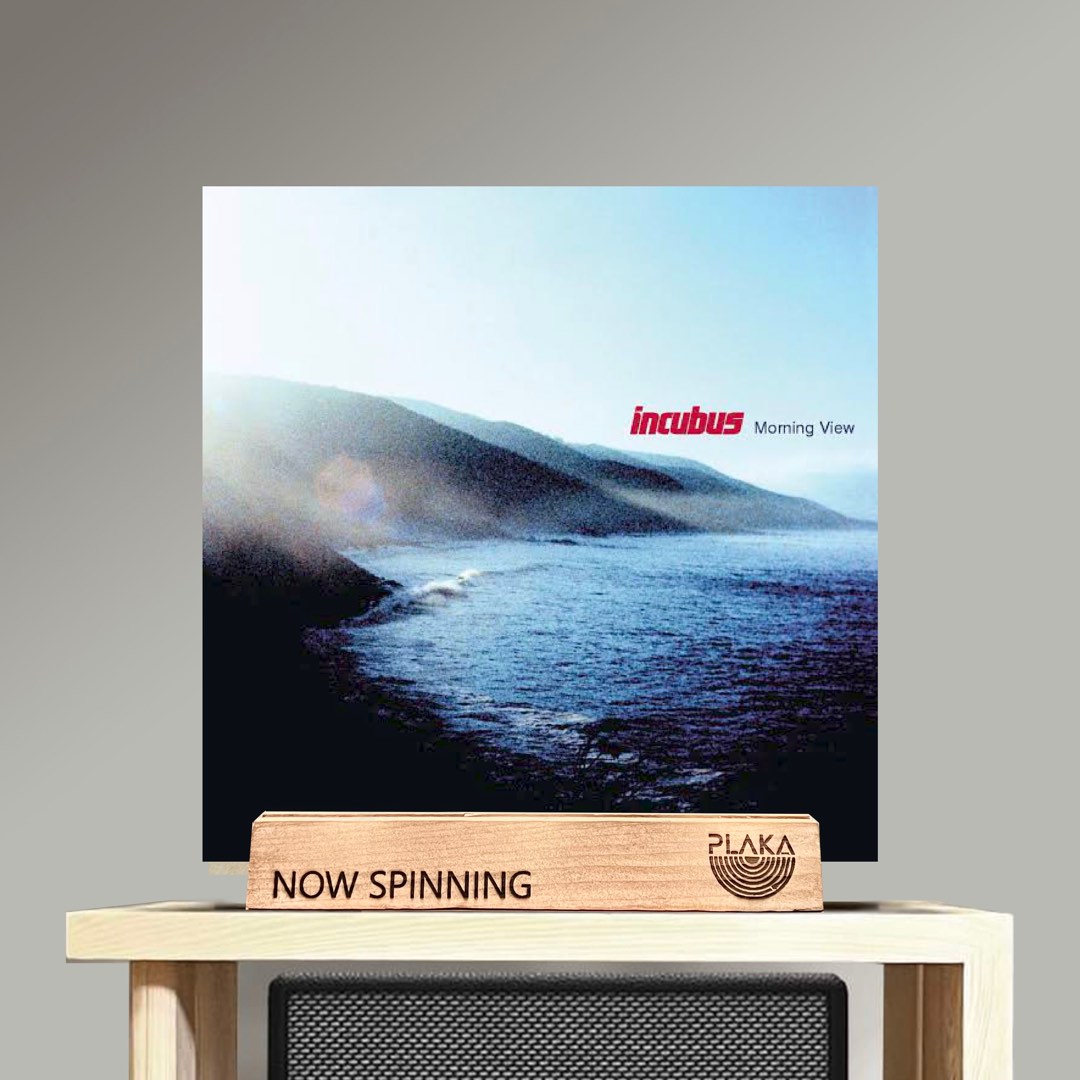 Incubus - Morning View Vinyl LP Plaka, Hobbies & Toys, Music & Media, Vinyls on Carousell