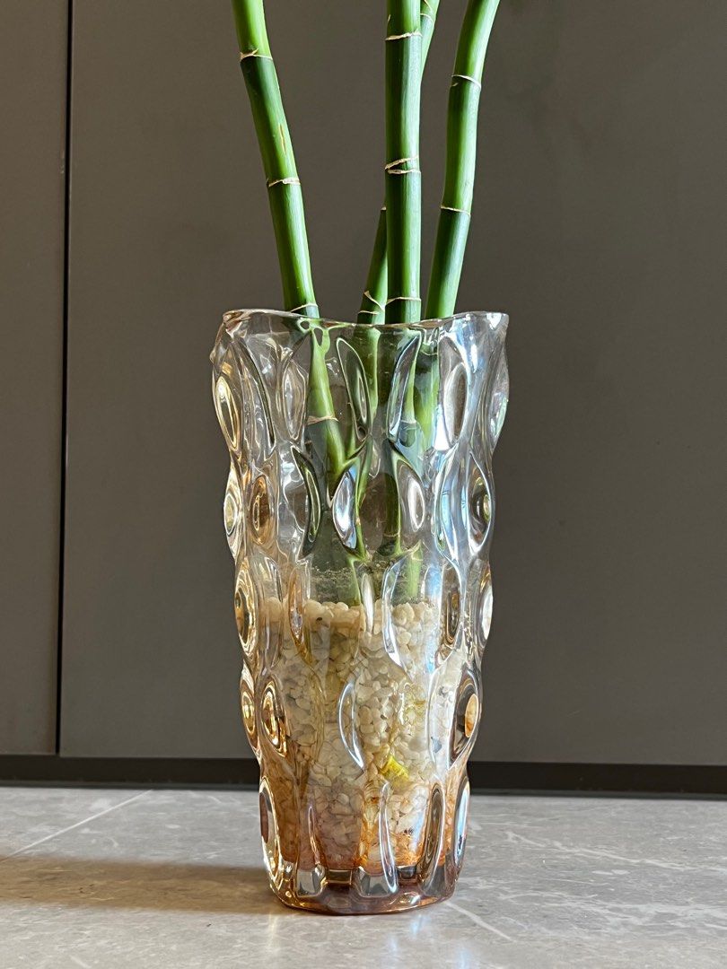 Lucky Bamboo + Glass Pot + Crystal Pebbles, Furniture & Home Living ...