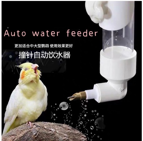 New auto bird water feeder. Small ideal for love bird and budgie . Big ...