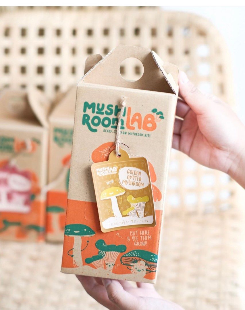 New Mushroom Lab Mushroom Grow Kit, Furniture & Home Living, Gardening, Plants & Seeds on Carousell