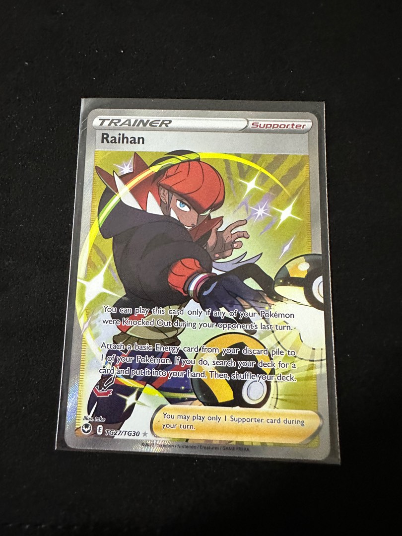 Pokemon Raihan Trainer, Hobbies & Toys, Toys & Games on Carousell