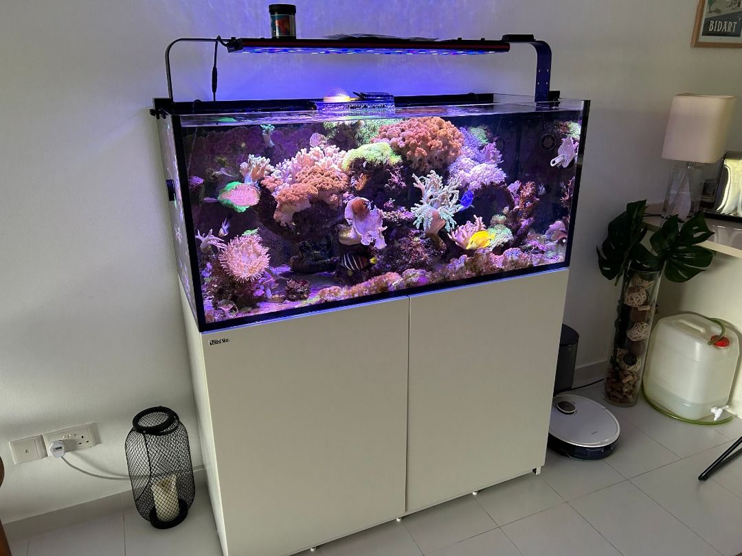 RED SEA 350 MARINE TANK, Pet Supplies, Homes & Other Pet Accessories on ...