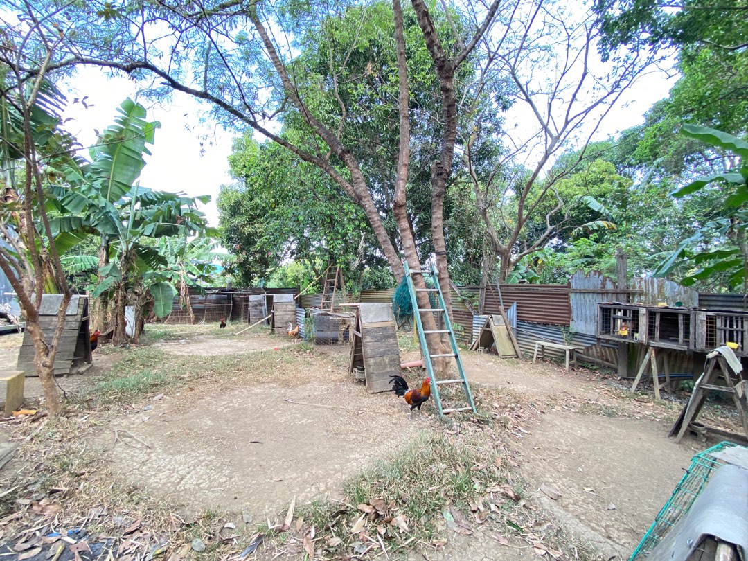 Warehouse/Residential Farm Lot , Property, For Sale, Lot on Carousell