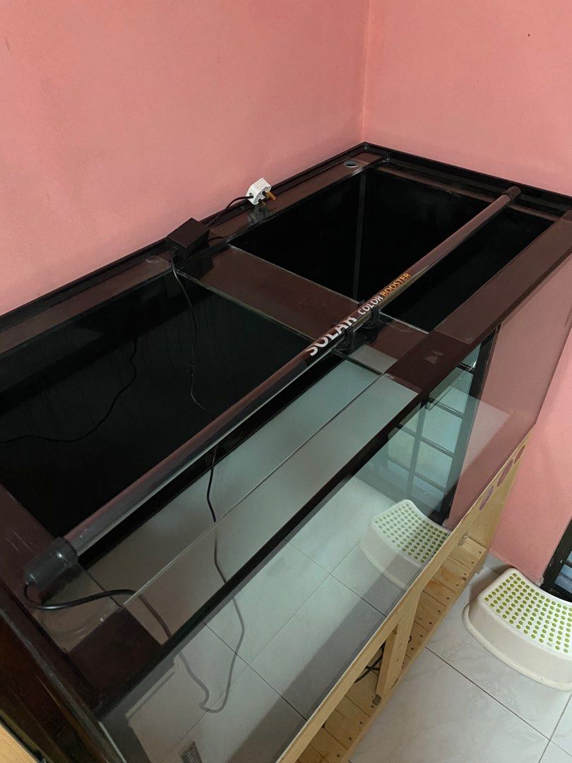 4ft Glass Fish Tank With Solid Wood Stand Cabinet + Solar Color Booster ...