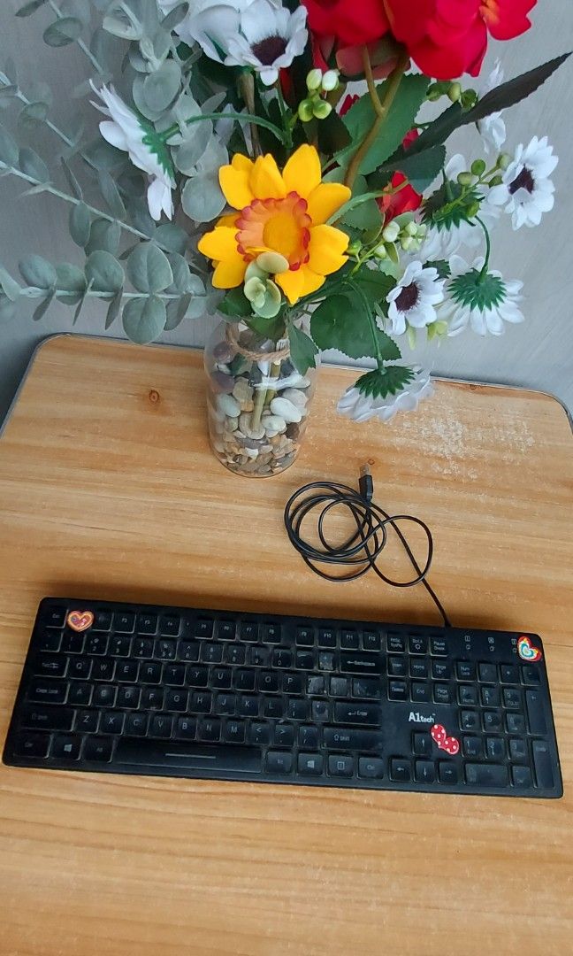 A1Tech Chocolate USB Keyboard, Computers & Tech, Parts & Accessories ...