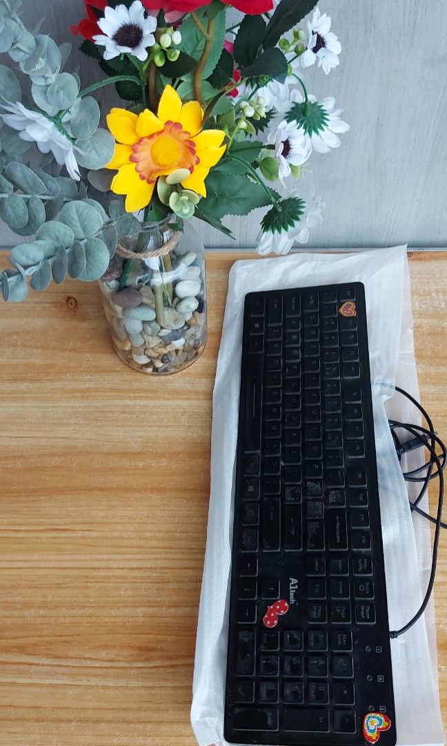 A1Tech Chocolate USB Keyboard, Computers & Tech, Parts & Accessories ...