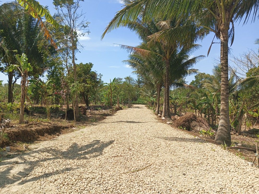 Amadeo Residential Farm Lot, Property, For Sale, Lot on Carousell