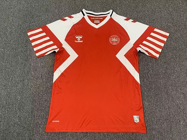 Denmark National Team Home Jersey 2023, Sports Equipment, Sports ...