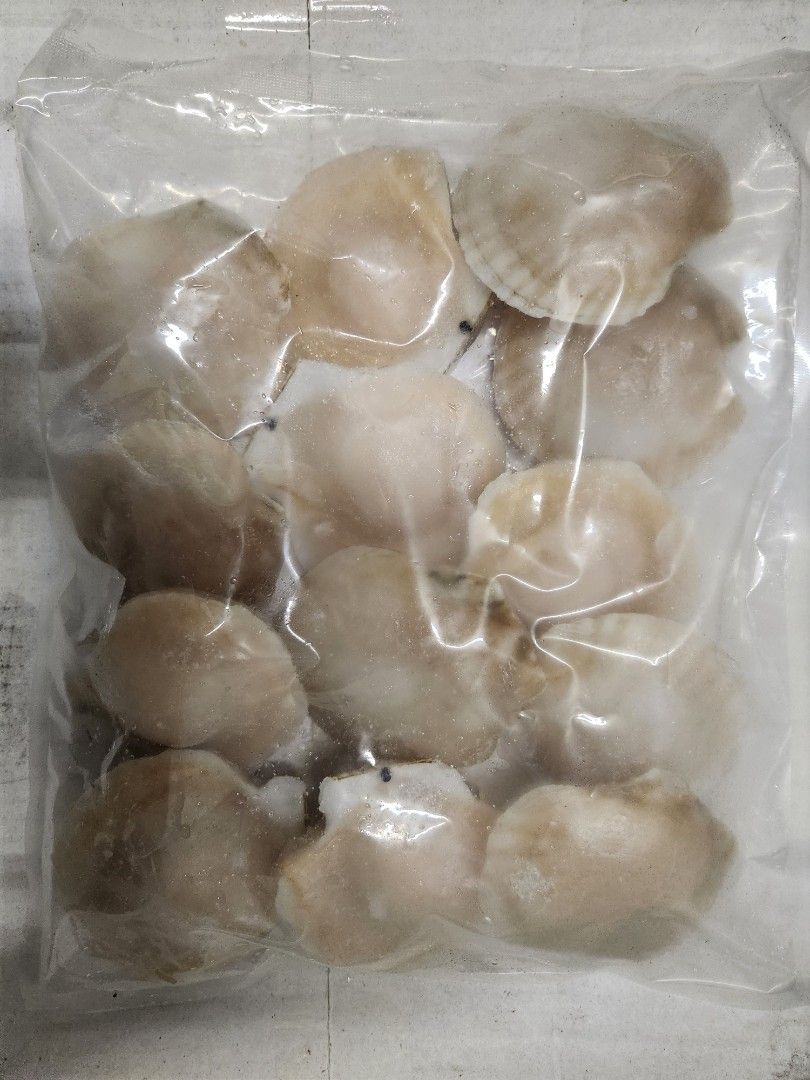 Half Shell Scallop, Food & Drinks, Chilled & Frozen Food on Carousell