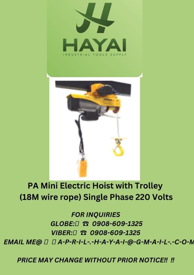 PA Mini Electric Hoist with Trolley (18M wire rope) Single Phase 220 ...