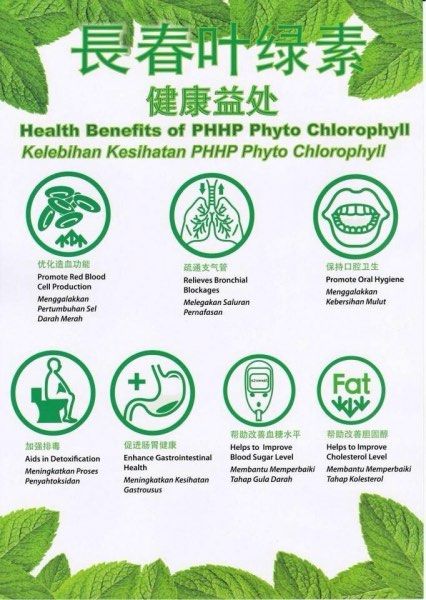 PHHP PHYTO Chlorophyll 500ml, Health & Nutrition, Health Supplements ...