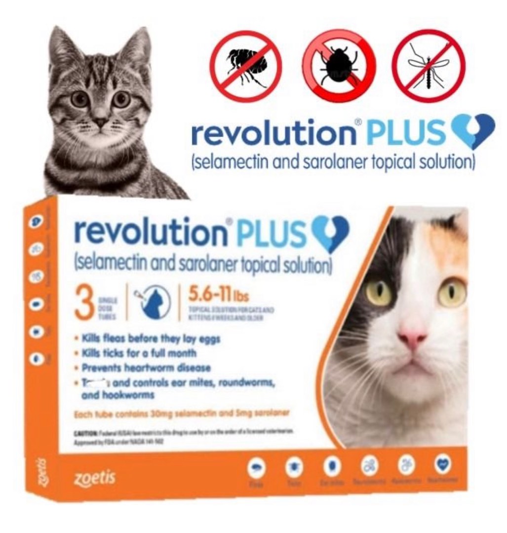 Revolution Plus for Cats 5.6-11lbs, Pet Supplies, Health & Grooming on ...
