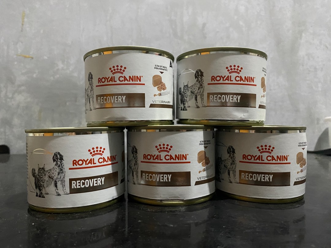 royal-canin-recovery-food-pet-supplies-pet-food-on-carousell
