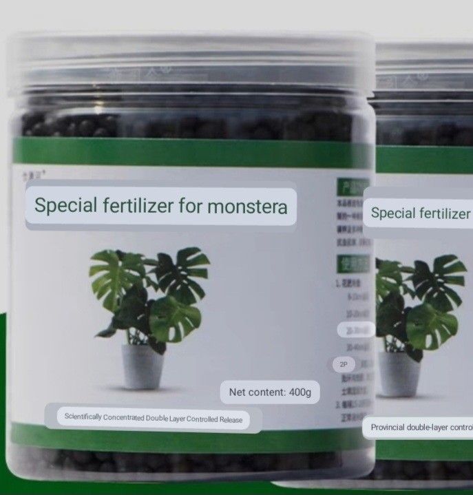 Special fertilizer for Monstera plant, Furniture & Home Living ...