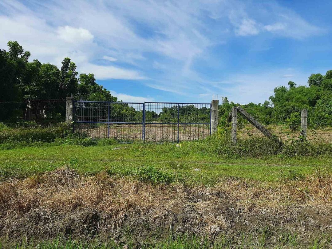 14,448 sqm Residential Fruit Farm Lot For Sale in Magalang Pampanga ...