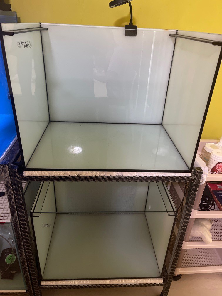 2 tier fish tank with stand, Pet Supplies, Homes & Other Pet ...