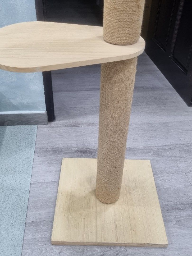 Cat Scratch Pole / Cat Stand, Pet Supplies, Homes & Other Pet ...