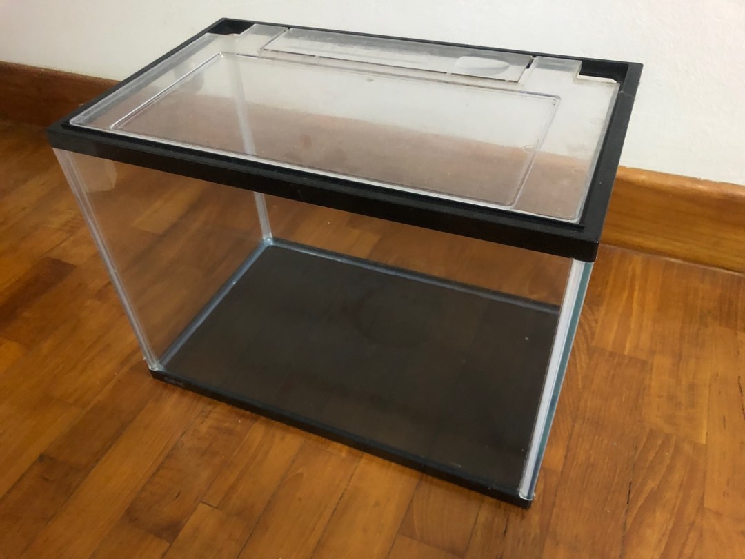 Fish tank 1ft, Pet Supplies, Homes & Other Pet Accessories on Carousell