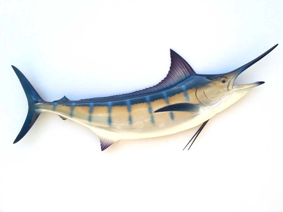 Handmade fibreglass fish replica: Marlin- Display fish No. MA 1046 ...