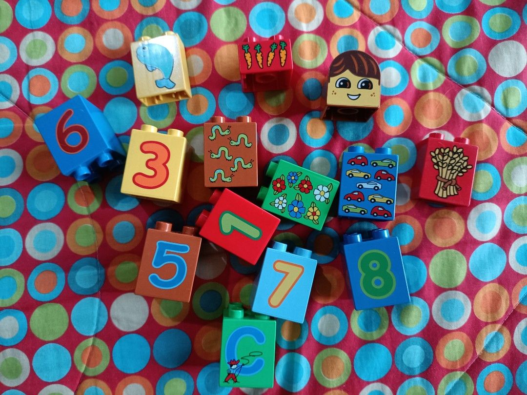 Lego Duplo Mix Blocks, Hobbies & Toys, Toys & Games on Carousell