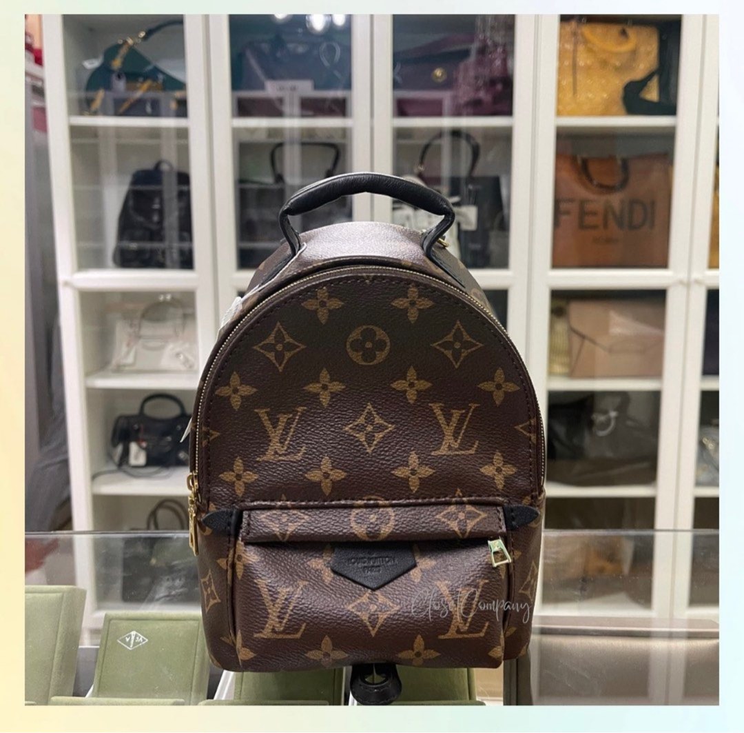 Louis Vuitton Palm Spring Mini in Monogram Canvas (Microchip Embed ...