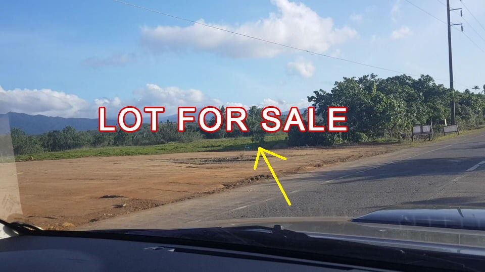 Santa Ana Cagayan 1 Hectare Lot for Sale, Property, For Sale, Lot on ...