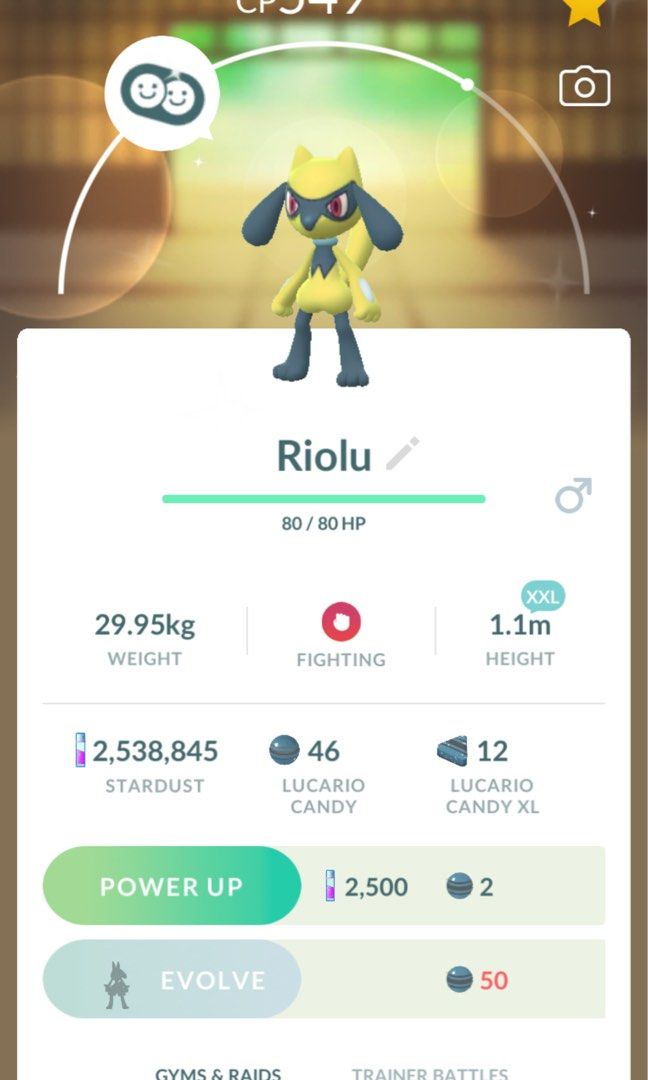 Shiny Riolu for sell, Video Gaming, Video Games, Others on Carousell