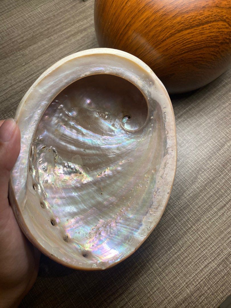 Shiny Shell Key / Jewellery / Ash Holder, Women's Fashion, Jewelry ...