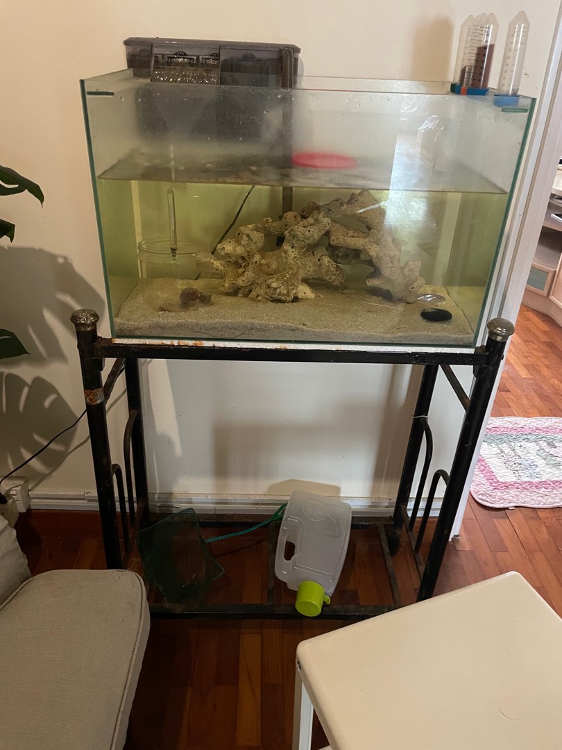 2ft tank with stand all in, Pet Supplies, Homes & Other Pet Accessories ...