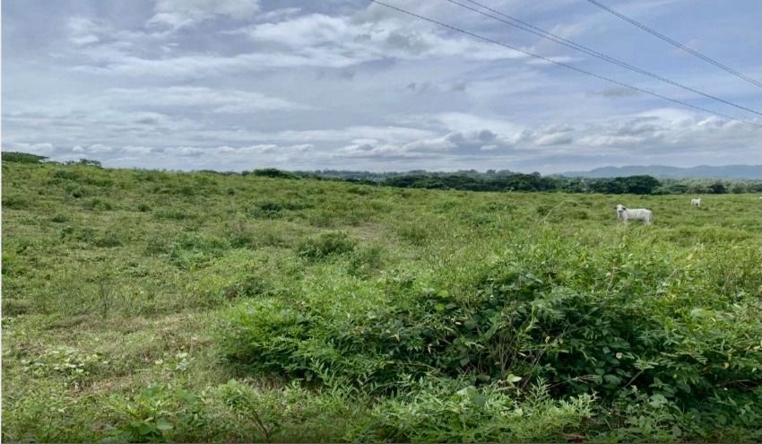 49 Hectares of Prime Raw Land For Sale along Tagaytay-Nasugbu National Highway, Property, For ...
