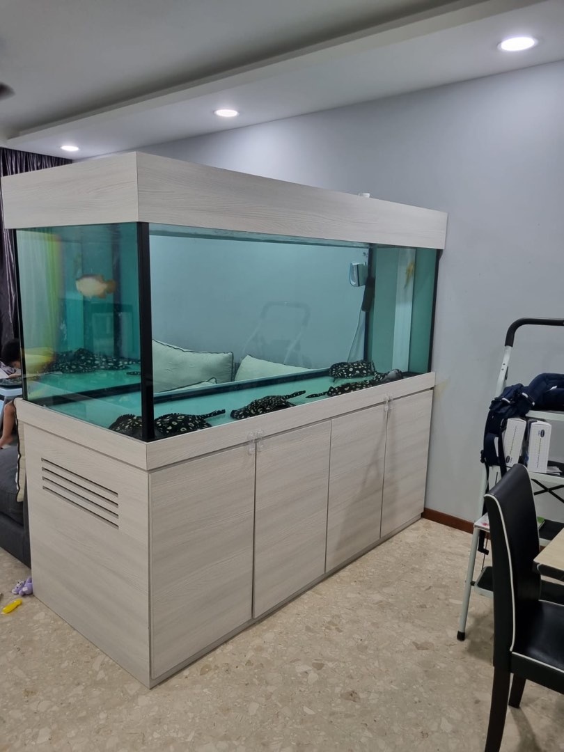 7ft by 2.8ft by 2.8ft fish tank with cabinet and sump, Pet Supplies ...