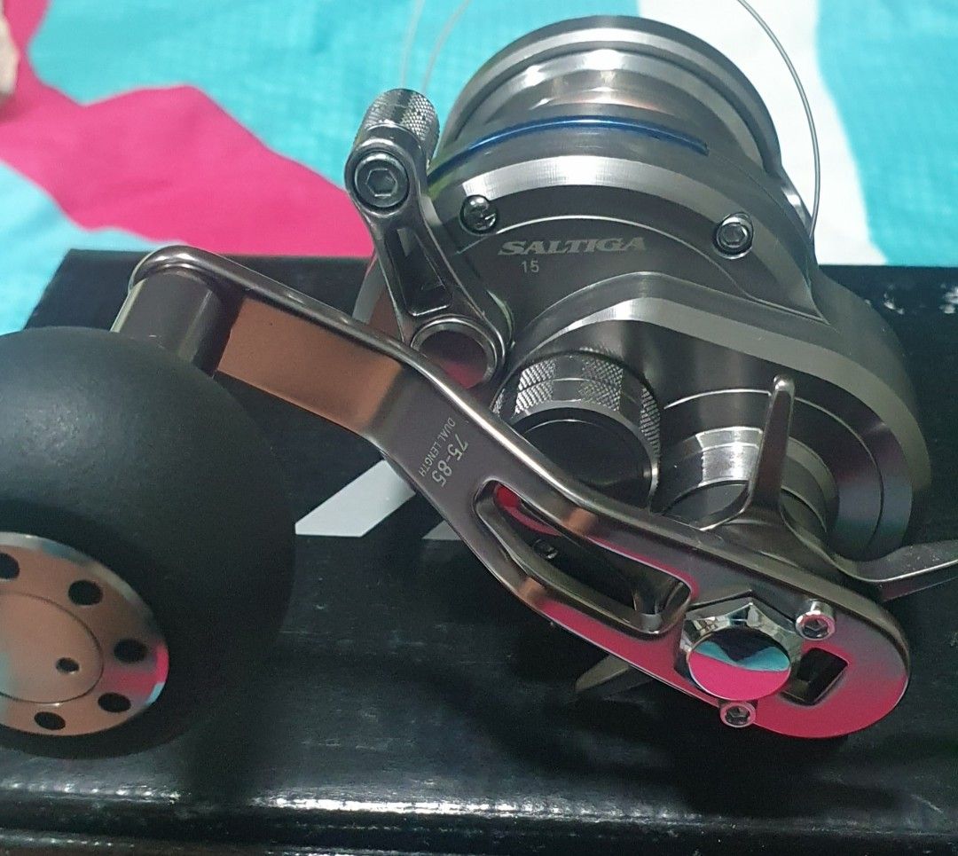 Daiwa Saltiga 15, Sports Equipment, Fishing on Carousell