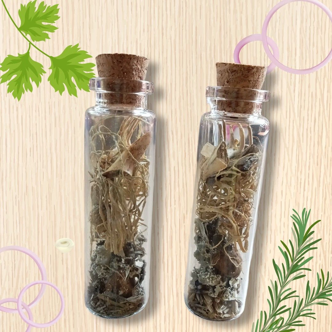 Gayuma Love Potion Siquijor authentic, Announcements on Carousell