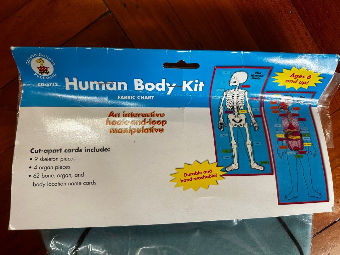 Human Body Kit, 興趣及遊戲, 手作＆自家設計, 文具 - Carousell