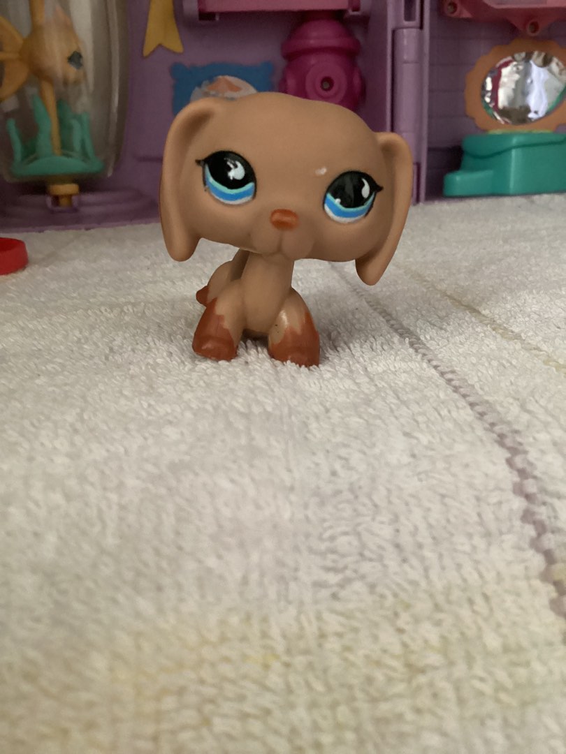 LPS Littlest Petshop #518 Hasbro Dachshund main 5 AUTHENTIC on Carousell
