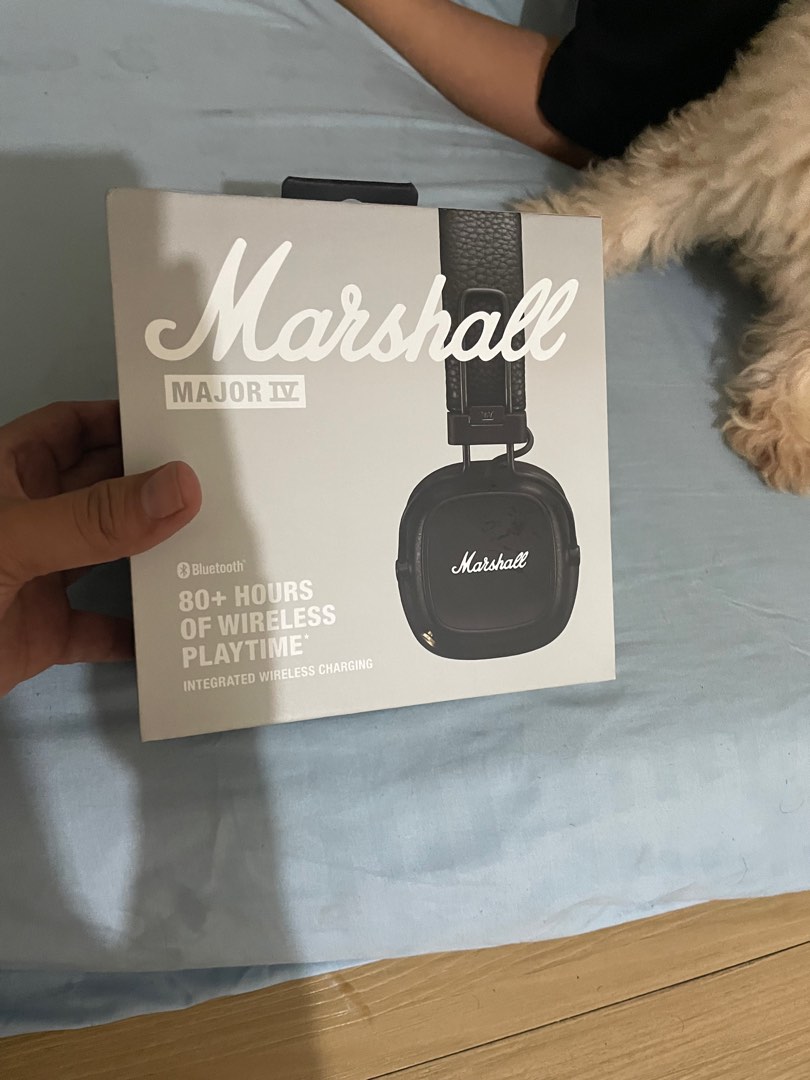 Marshall Major 4, Audio, Headphones & Headsets on Carousell