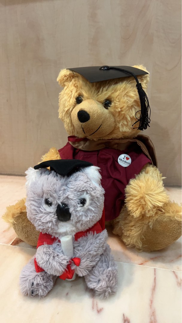 Murdoch University Graduation Bear, Hobbies & Toys, Toys & Games on Carousell