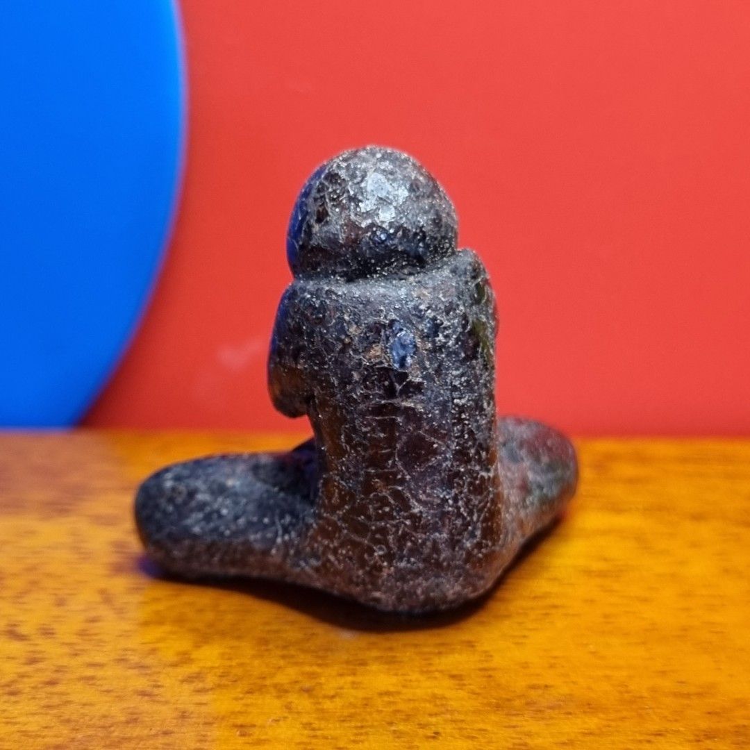 Tok Raja Snake Skin Pidta 2480, Hobbies & Toys, Memorabilia ...