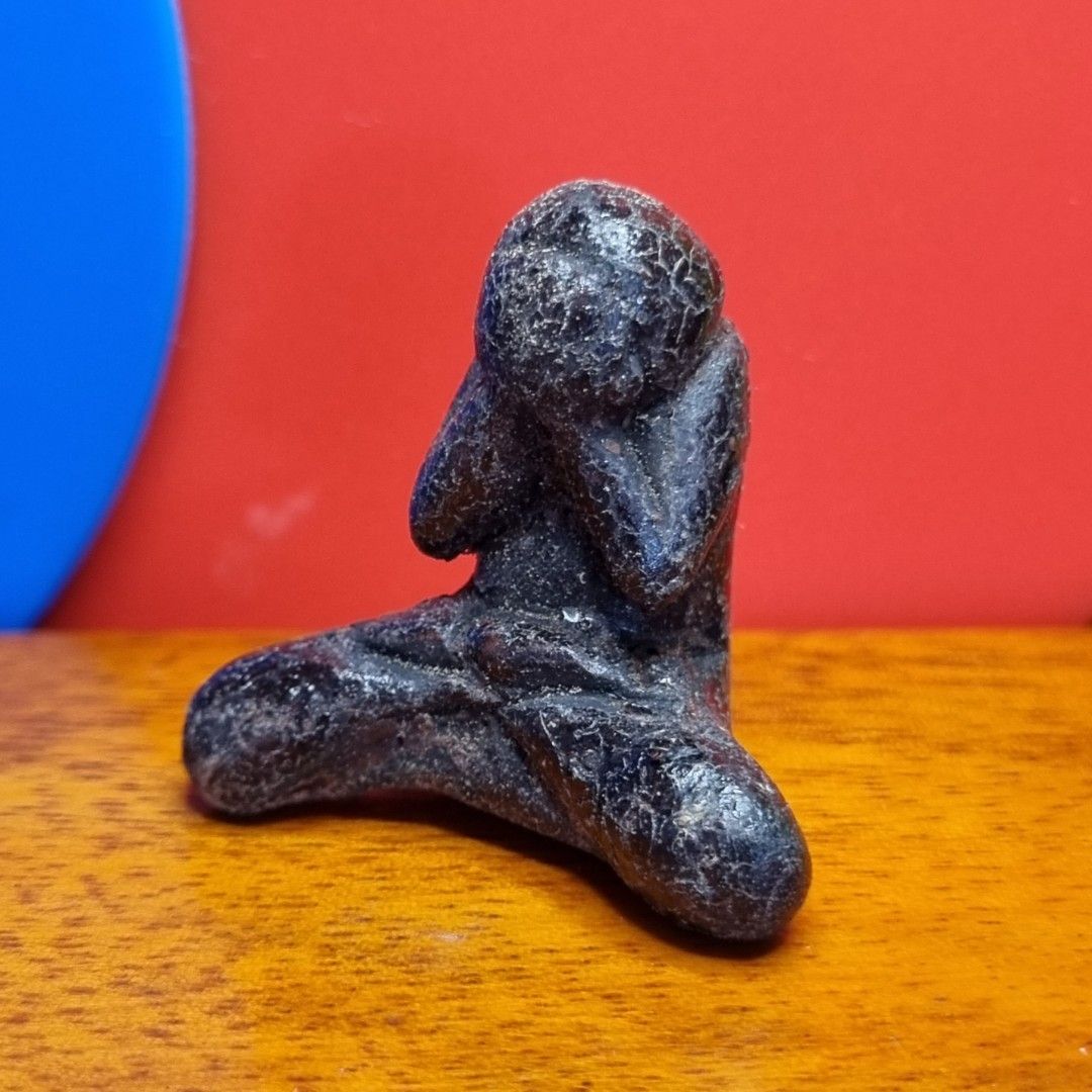 Tok Raja Snake Skin Pidta 2480, Hobbies & Toys, Memorabilia ...