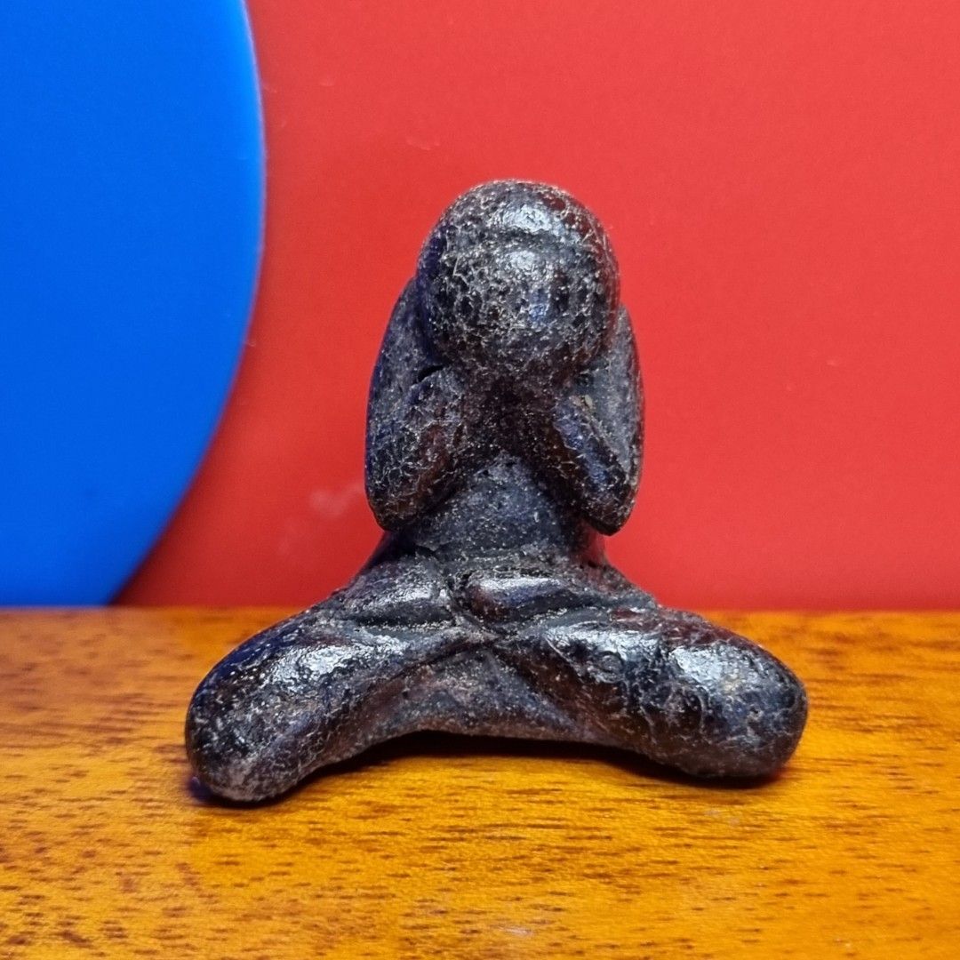 Tok Raja Snake Skin Pidta 2480, Hobbies & Toys, Memorabilia ...