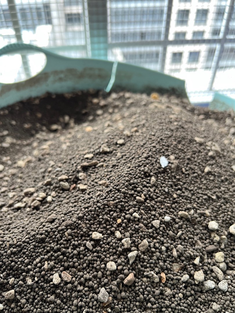 Used ADA Amazonia Soil and Power Sand for Planted Aquarium, Pet ...